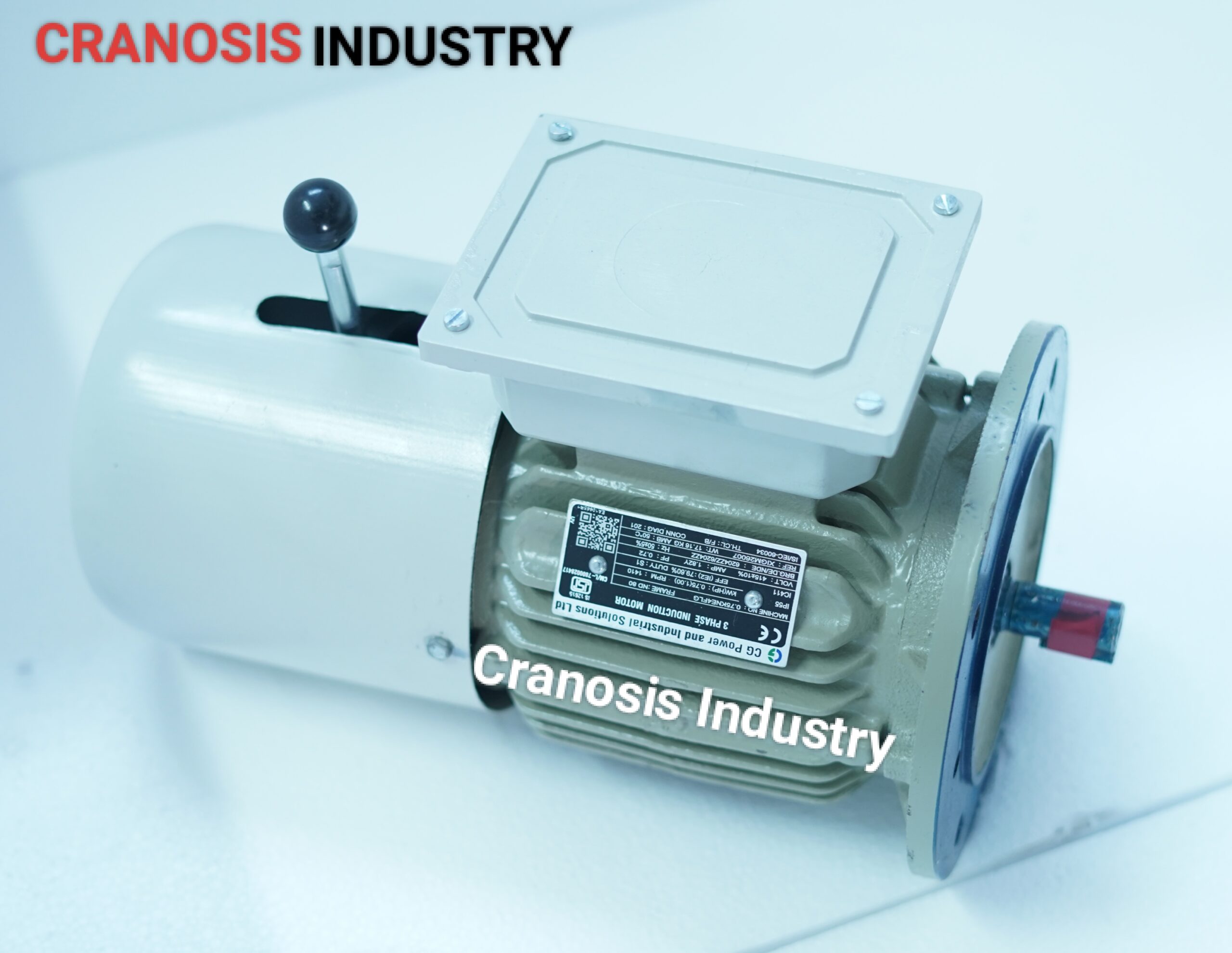 3 HP Crompton Motor With Brake - Cranosis Industry - Manufacturer of ...